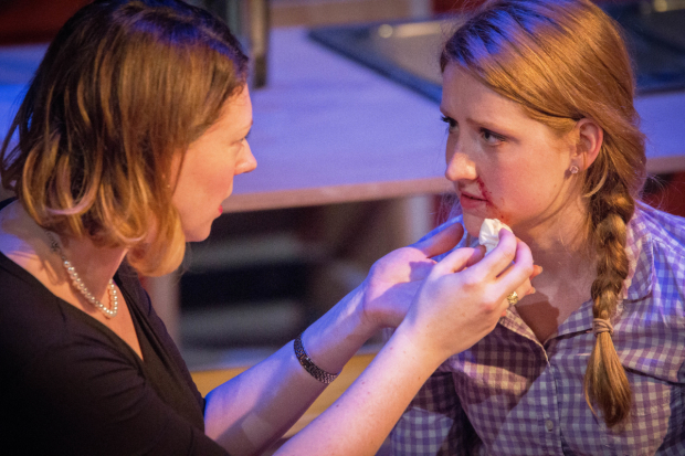 Profiles Theatre Set to Present Our New Girl - TheaterMania.com