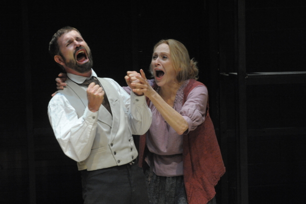 Scenes From an Execution - TheaterMania.com