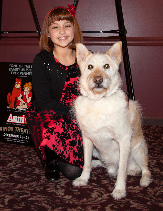 Meet New York's Latest Annie and Sandy - TheaterMania.com