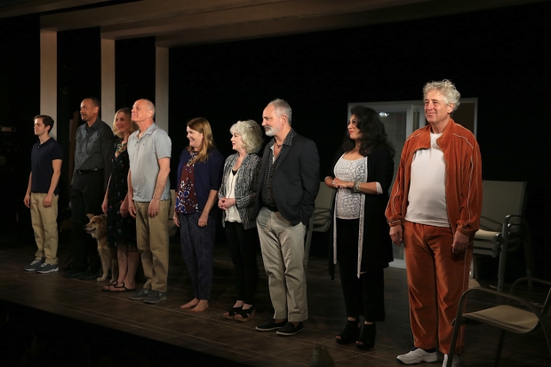 Dan LeFranc's Rancho Viejo, Starring Mare Winningham and Mark Blum ...