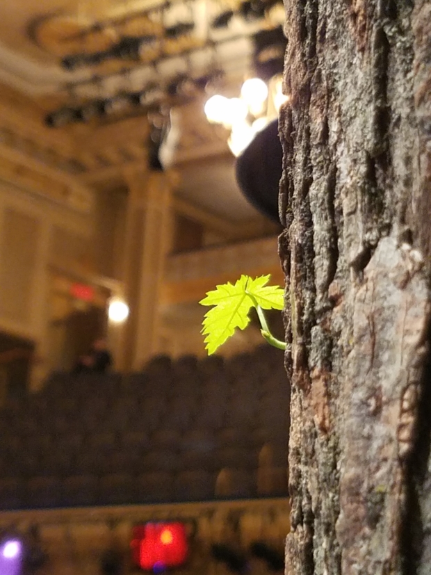 A Tree Grows on Broadway: Come From Away and the Cutting Edge of Green ...