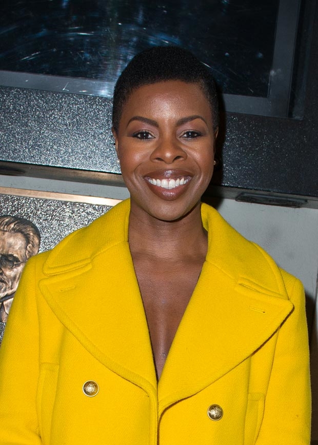 Roslyn Ruff and Jimonn Cole to Star in X: or, Betty Shabazz v. the ...