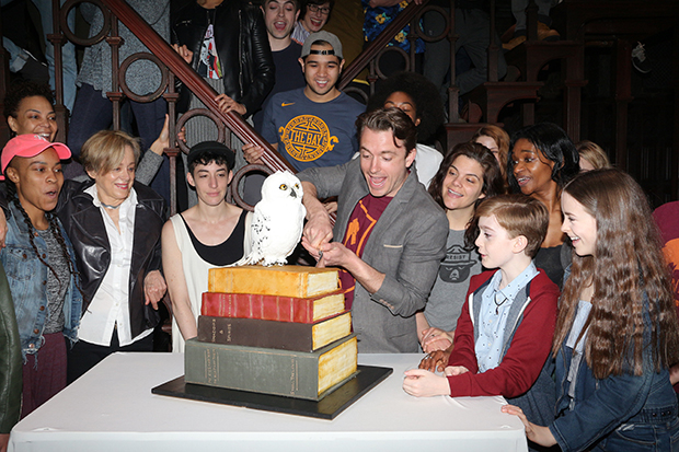 Harry Potter and the Cursed Child Celebrates First Anniversary on ...