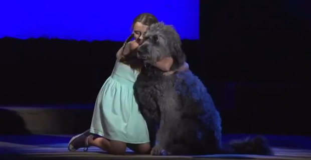 Tom Dillon, Longtime President of The Actors’ Fund, Dies at 86 ...