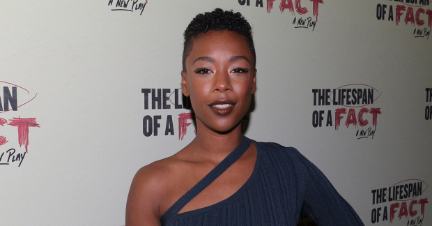 MCC Theater Postpones Free Reading of New Aziza Barnes Play Pues Nada ...