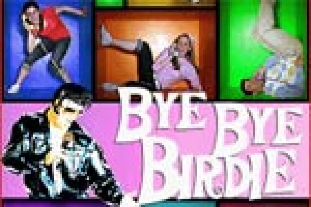 Bye Bye Birdie on Boston: Get Tickets Now! | Theatermania - 145051