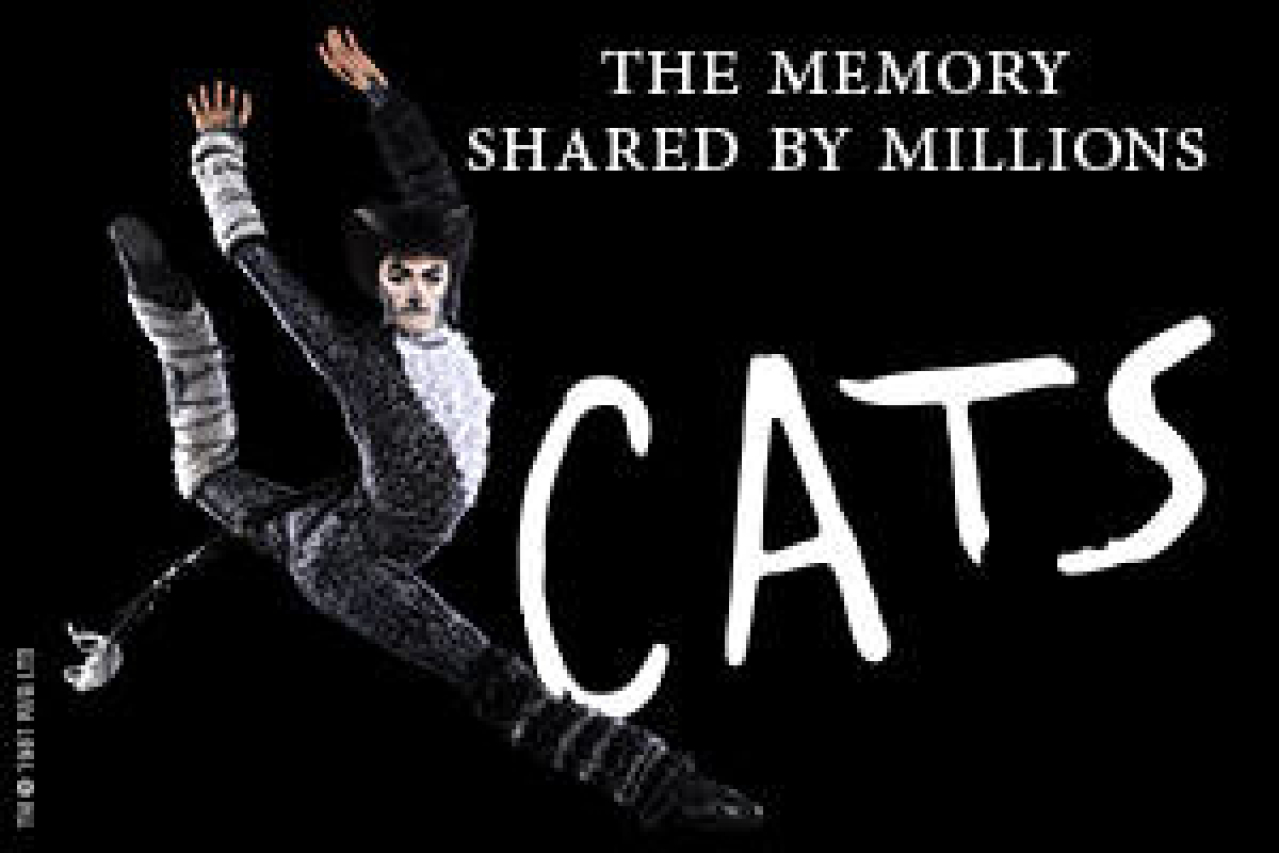 EXCLUSIVE: Cats Alumni Reunite at New Broadway Revival - TheaterMania.com