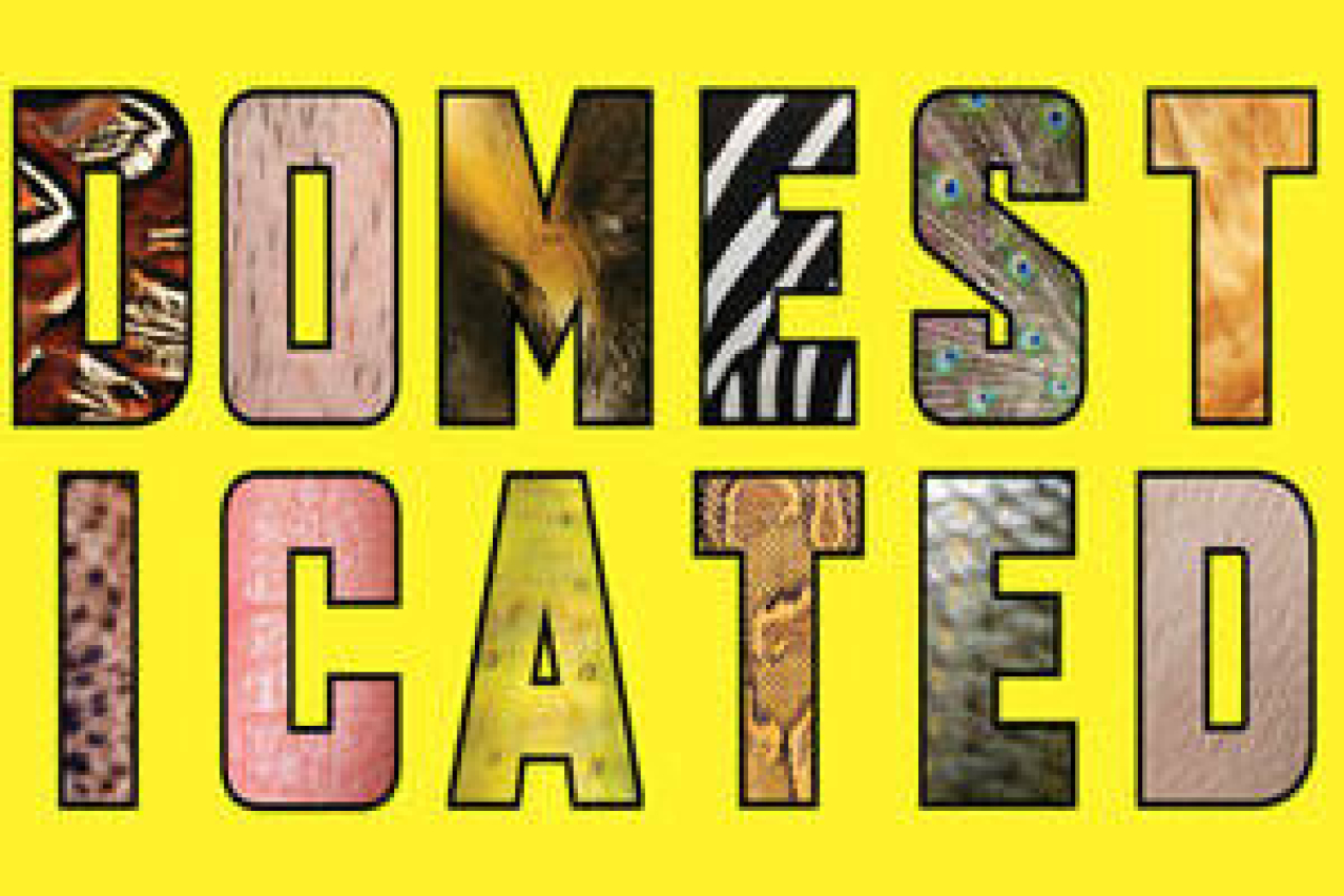 Domesticated - TheaterMania.com