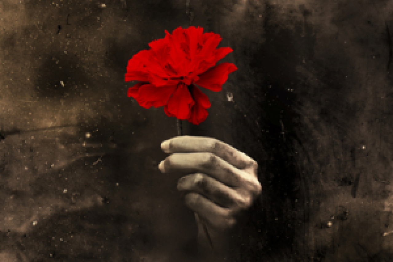 Hadestown on Fort Lauderdale: Get Tickets Now! | Theatermania