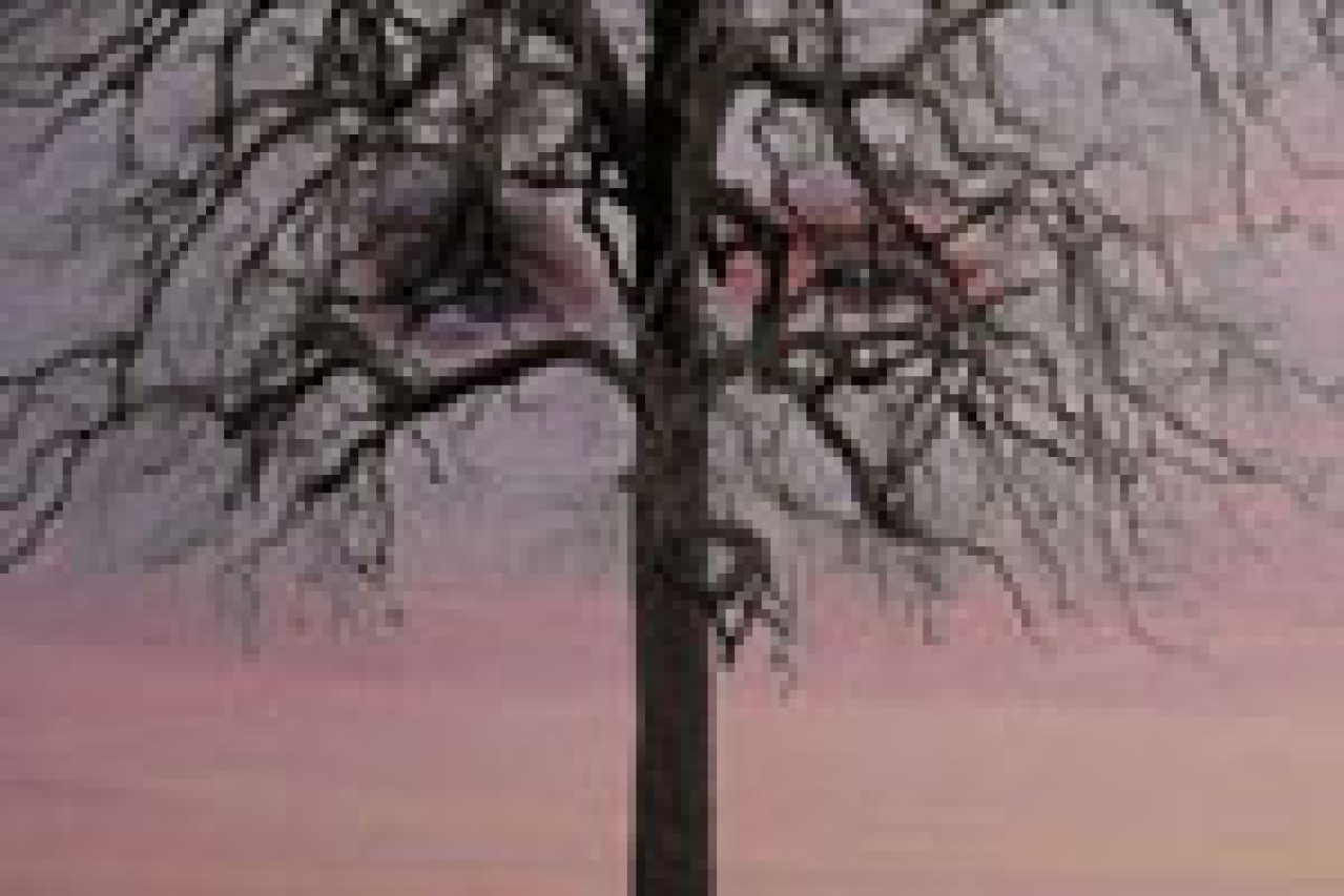Dulcy Rogers Set for I Am a Tree - TheaterMania.com