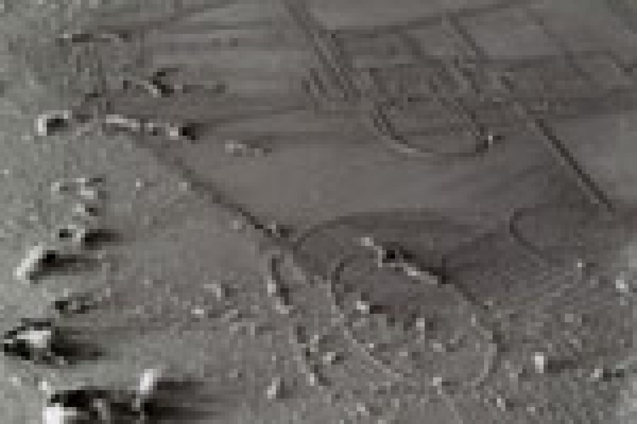 Invincible City & Blvd de Paris on New York City: Get Tickets Now ...