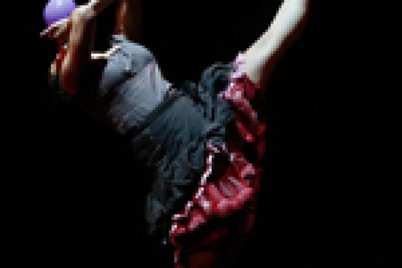 Pinguli, Pinguli on New York City: Get Tickets Now! | Theatermania - 189862