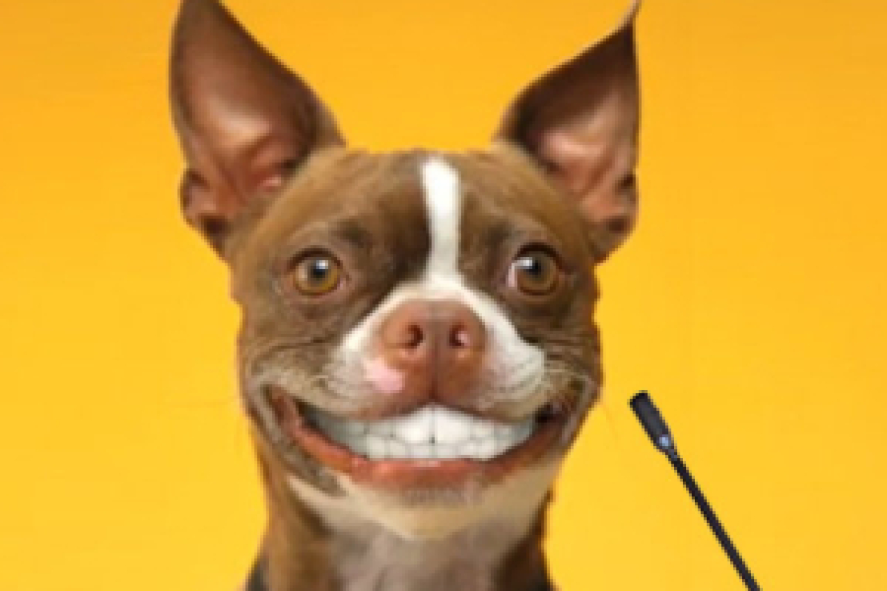 Sick Puppies Comedy Presents: The Mating Game & Other Improv Shorts on ...