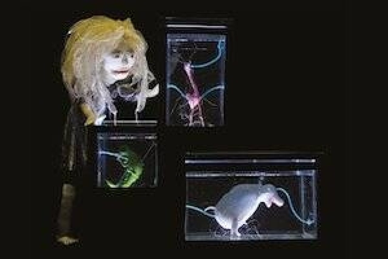 Review: The Immortal Jellyfish Girl Is an Apocalyptic Puppet Show for ...