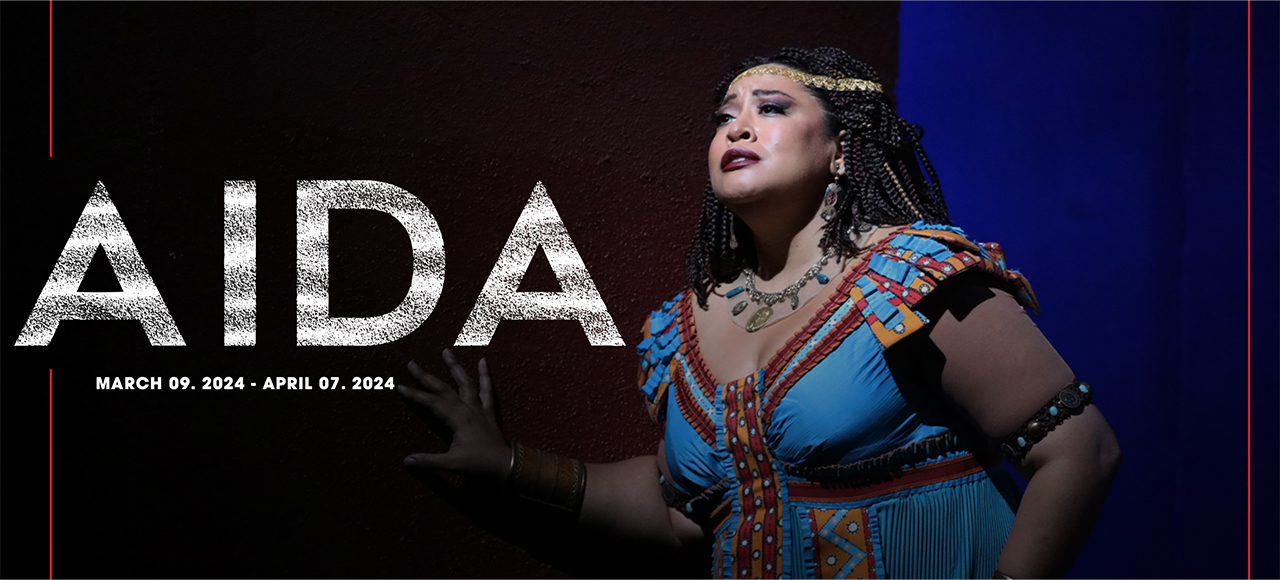 Aida on Chicago: Get Tickets Now! | Theatermania