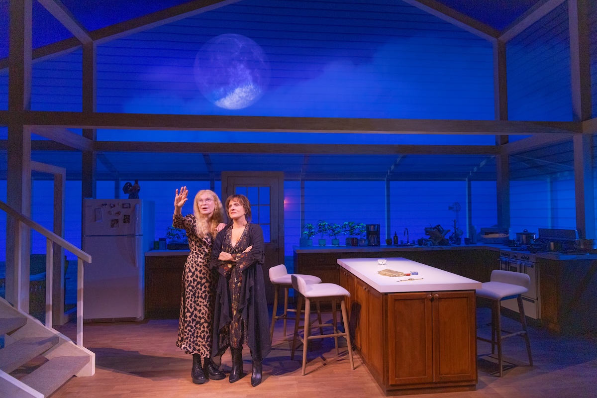 Review: Patti LuPone and Mia Farrow Cohabit in The Roommate on Broadway ...