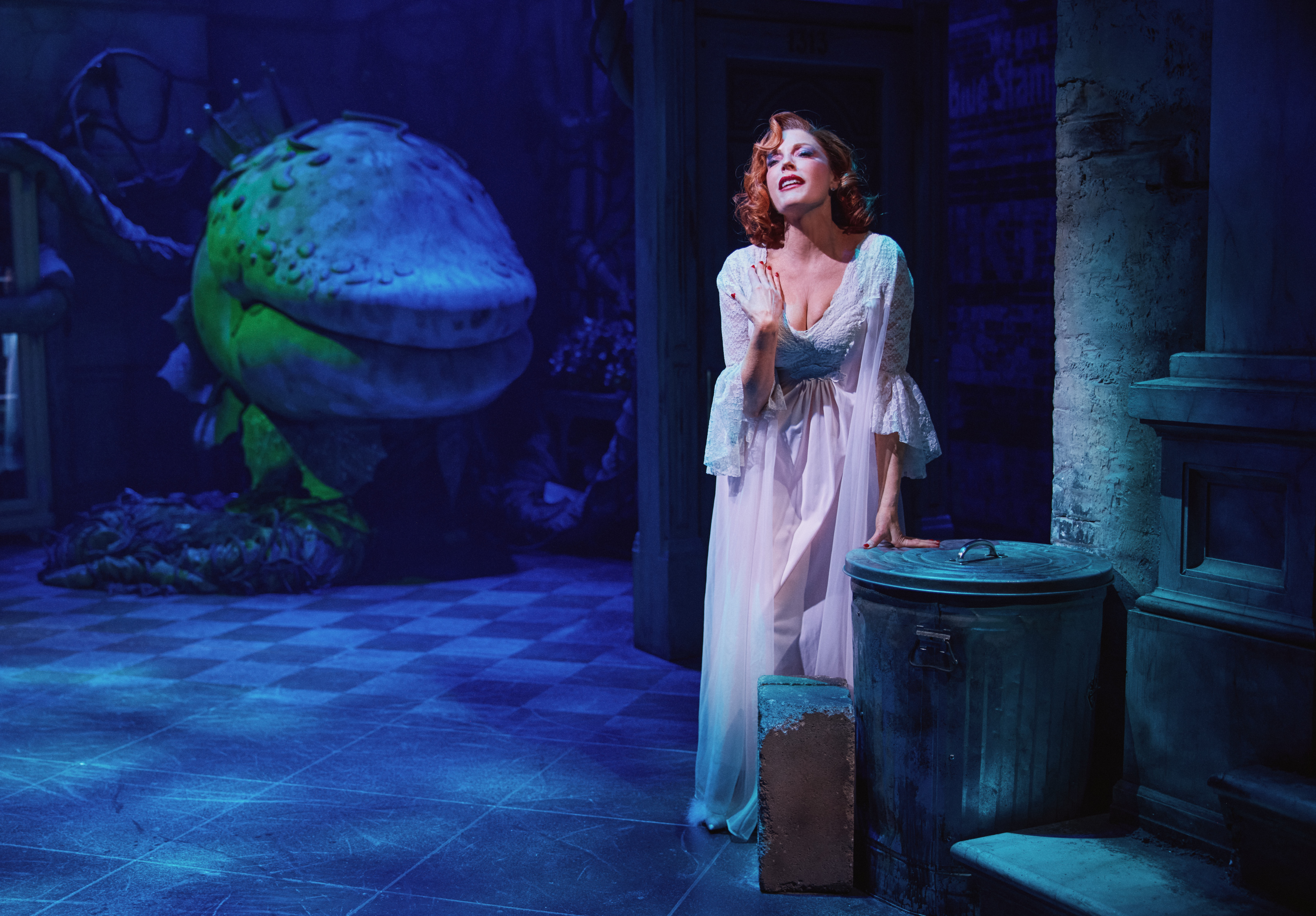 Who Is Sherie Rene Scott? Broadway credits, stage roles, and more