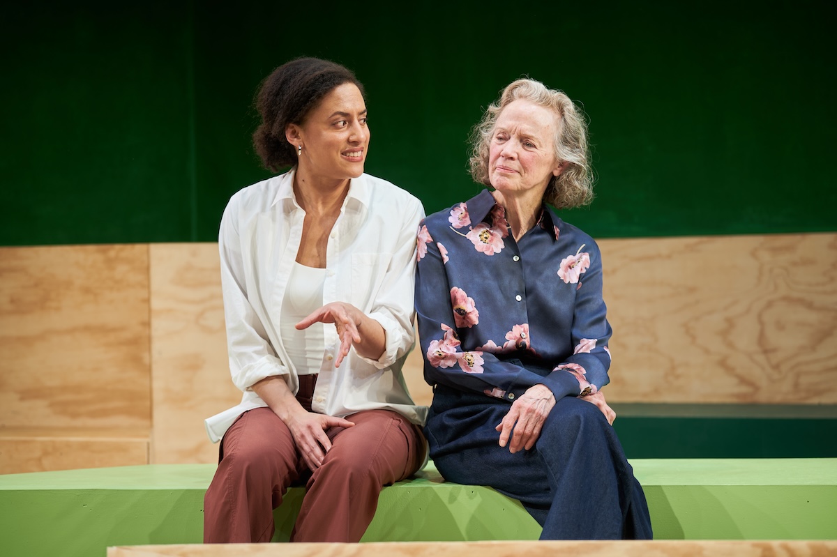 Review: Have You Met Jane Goodall and Her Mother?, a Meandering ...