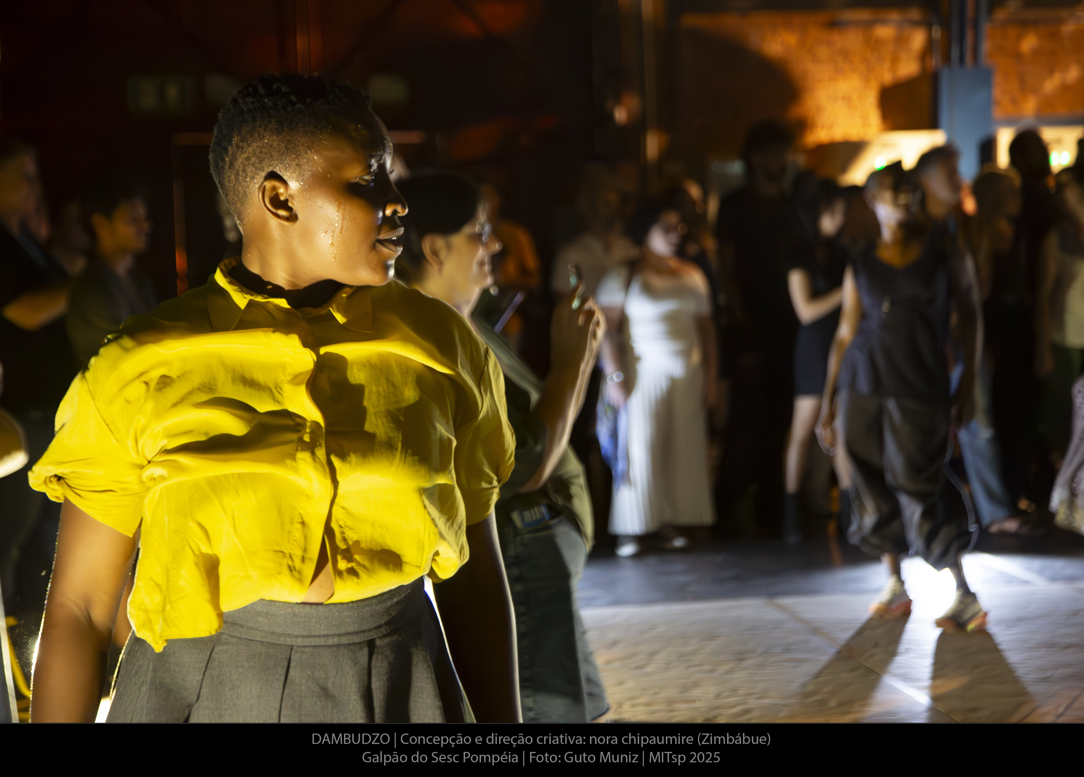 nora chipaumire: Dambudzo - TheaterMania.com