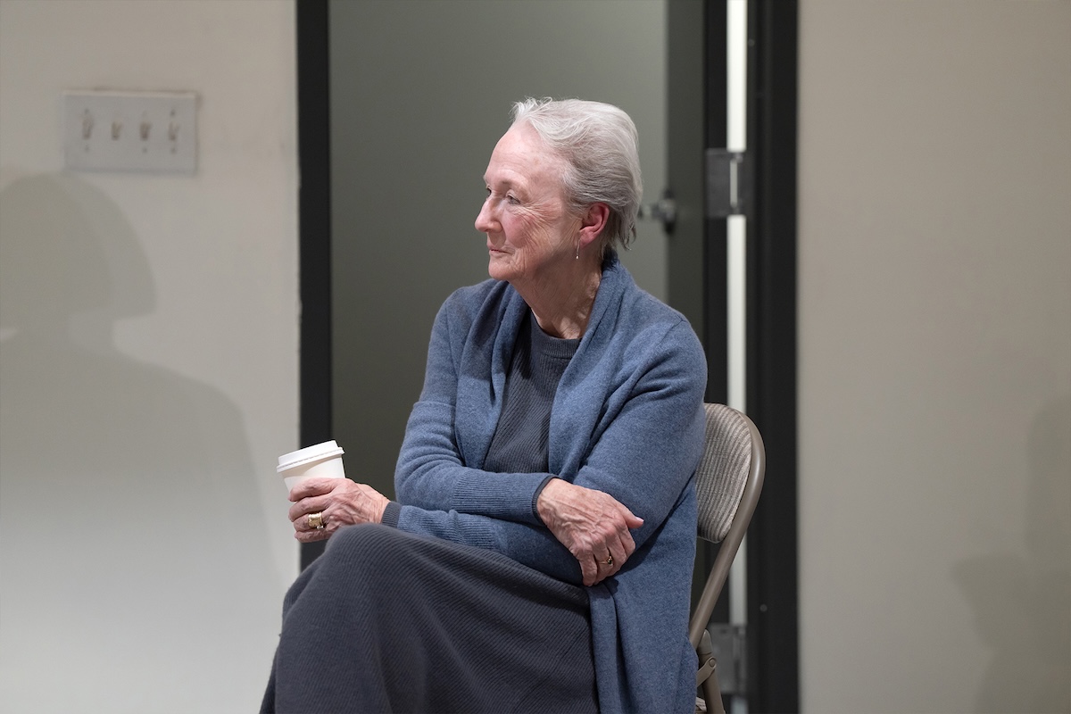Interview: Kathleen Chalfant Is Everywhere These Days, and at 81, She’s ...